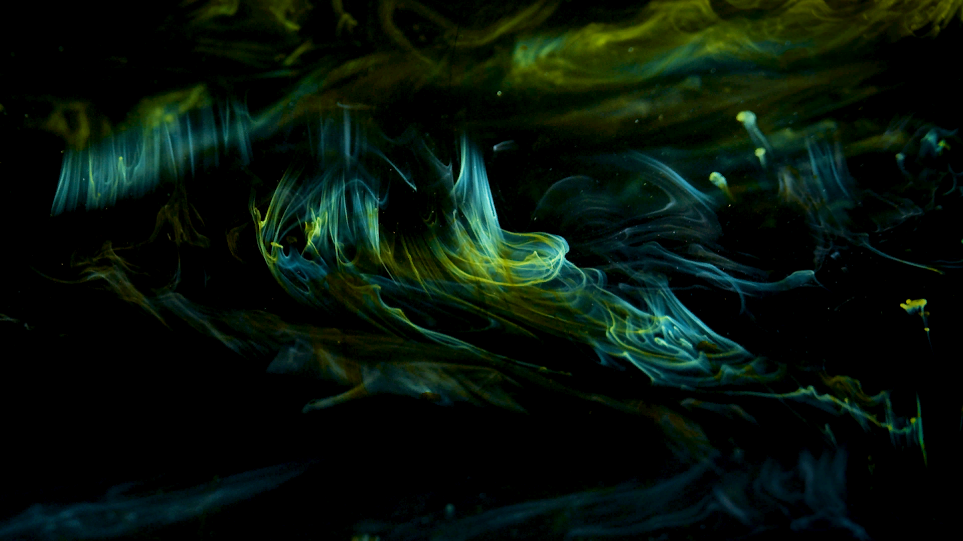 Ink Drops – Jascha Suess